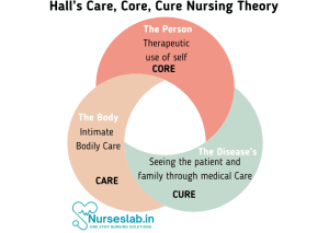 Hall’s Care, Core, Cure Theory: Lydia Hall - Nurseslab