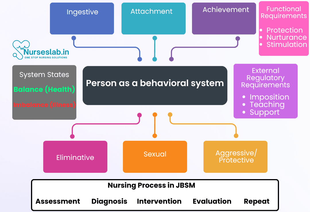 Dorothy E Johnson: Behavioural System Model - Nurseslab
