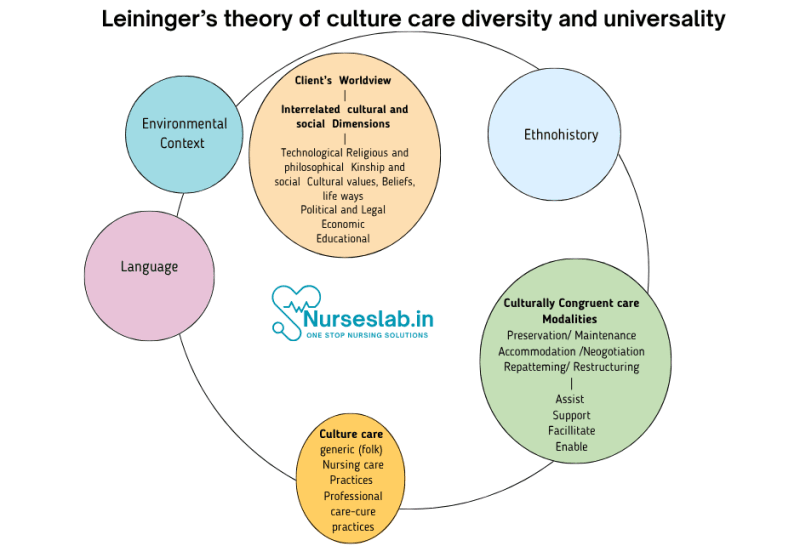 Leininger’s Theory of Culture Care Diversity and Universality - Nurseslab