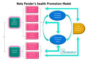 Nola Pender's Health Promotion Model in Nursing Practice - Nurseslab
