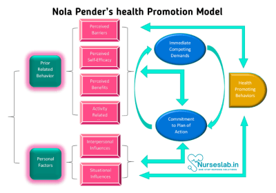 Nola Pender's Health Promotion Model in Nursing Practice - Nurseslab
