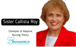 Roy’s Adaptation Model: Sister Callista Roy - Nurseslab