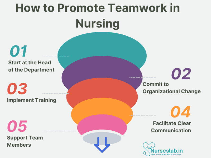 Importance of Teamwork in Nursing: Explained - Nurseslab