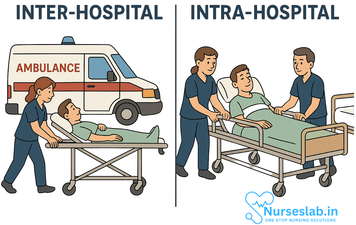 Transfer: Inter-Hospital and Intra-Hospital - Nurseslab