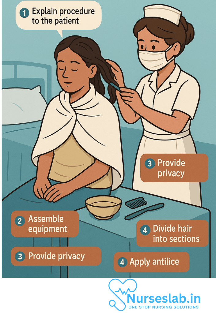 Pediculosis Treatment - Nurseslab