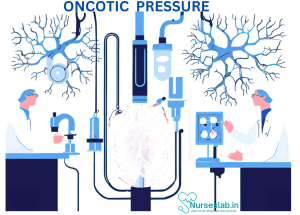 Oncotic Pressure: Why Is It Important in Nursing? - Nurseslab