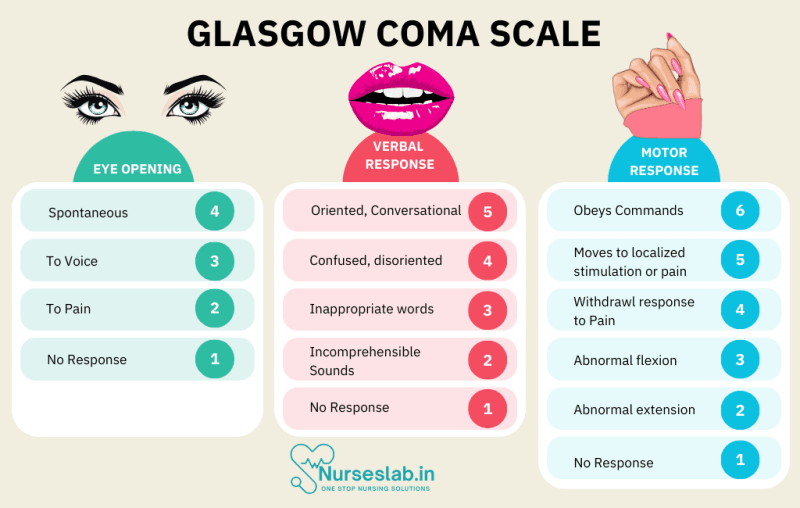 Glasgow Coma Scale (GCS): Understanding & Interpretation - Nurseslab