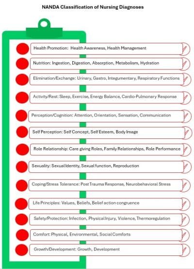 NANDA: Nursing Diagnosis 2024-Updated - Nurseslab