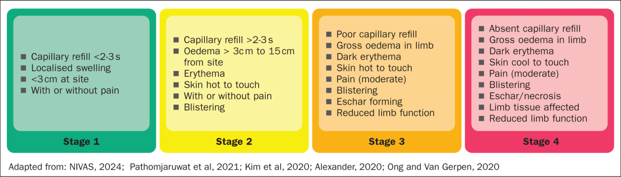 IV Therapy: Infiltration vs Extravasation with Case Studies - Nurseslab