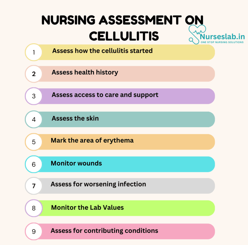 Nursing Care Plan on Cellulitis - Nurseslab