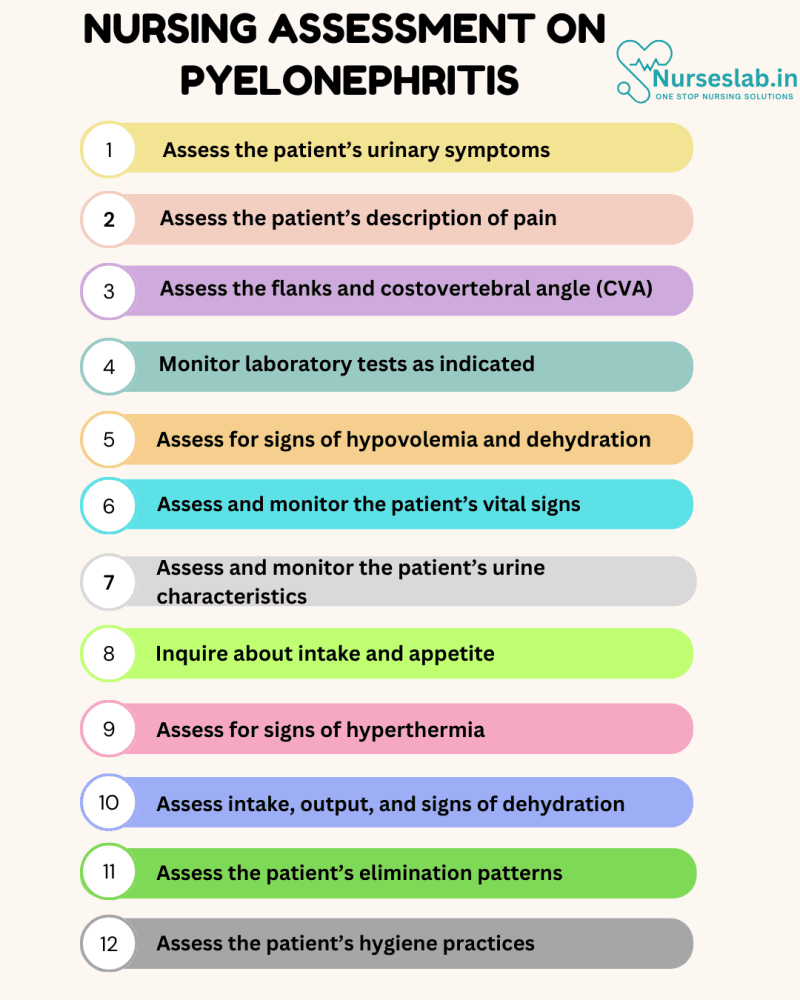 Nursing Care Plan on Pyelonephritis - Nurseslab