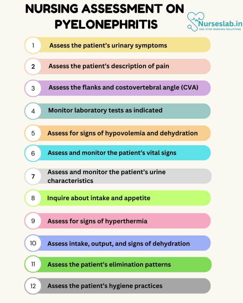 Nursing Care Plan on Pyelonephritis - Nurseslab