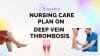 Nursing care Plan on Deep Vein Thrombosis (DVT) - Nurseslab