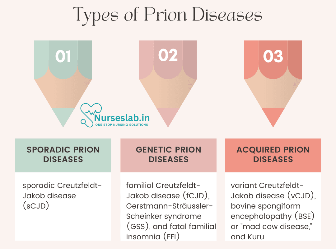 Prion Disease: An Overview of a Unique Neurodegenerative Disorder ...