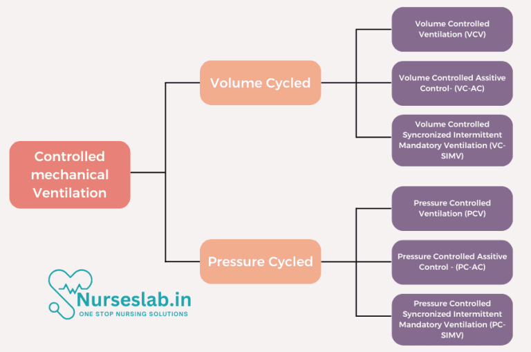 Mechanical Ventilation & Care of Patient with Mechanical Ventilator ...