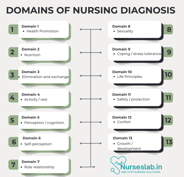 NANDA Nursing Diagnosis List 2025 Updated - Nurseslab