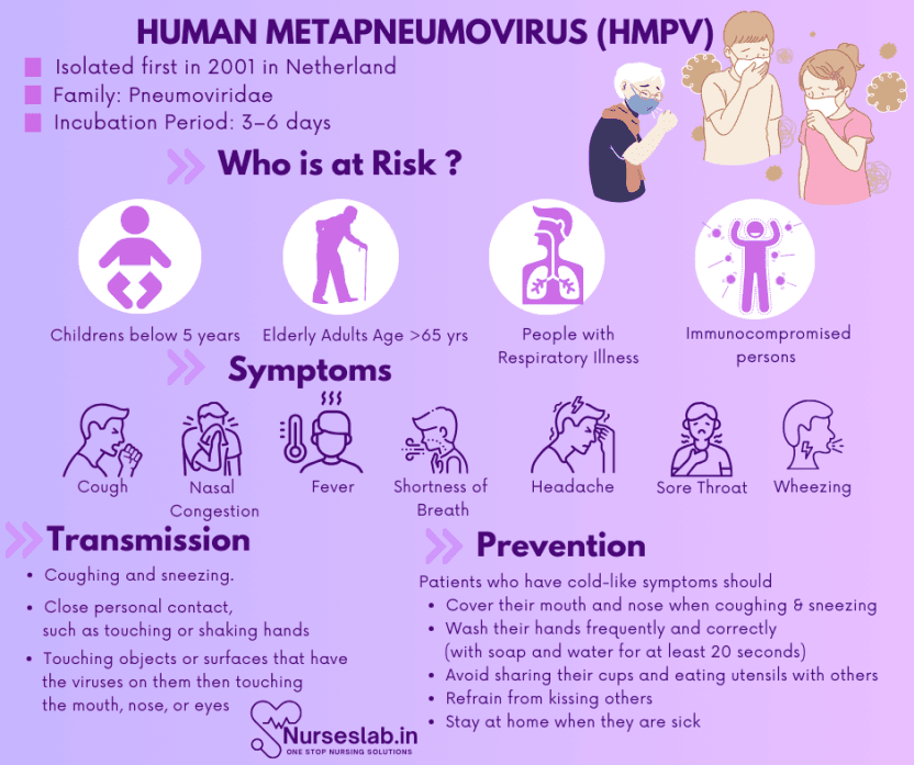 Human Metapneumovirus (HMPV) - Nurseslab