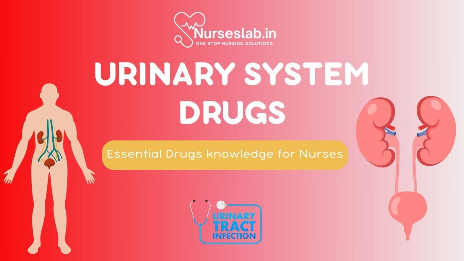 Anti-diuretics-Natriuretics - Nurseslab