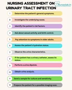 Nursing Care Plan on Urinary Tract Infection - Nurseslab