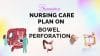 Nursing Care Plan on Bowel Perforation - Nurseslab