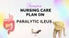 Nursing Care Plan on Small Bowel Obstruction - Nurseslab