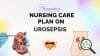 Nursing Care Plan on End Stage Renal Disease - Nurseslab