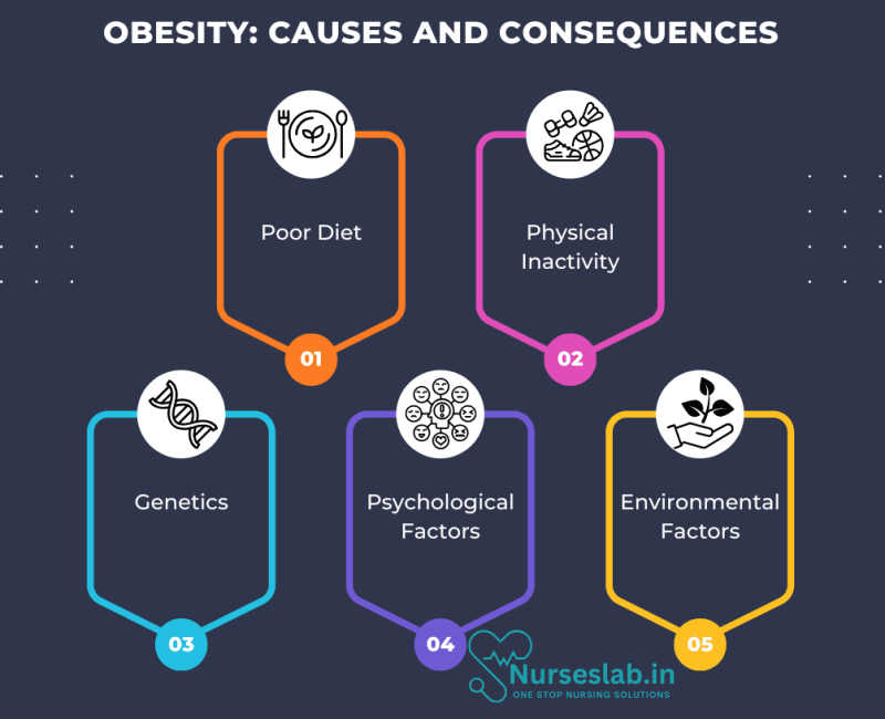 BMI Obesity and Weight Management: Understanding and Managing Health ...