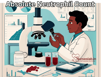 How to Calculate the Absolute Neutrophil Count - Nurseslab