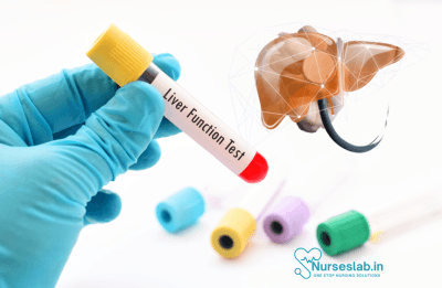 Interpreting Liver Enzymes and Liver Function Tests - Nurseslab.in