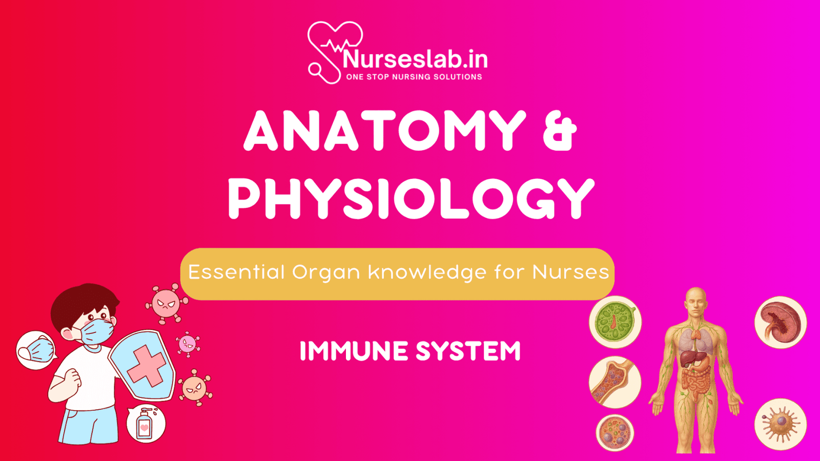 Immune System - Introduction - Nurseslab
