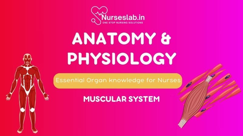 Special Senses -Introduction - Nurseslab