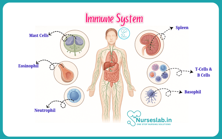 Immune System - Introduction - Nurseslab