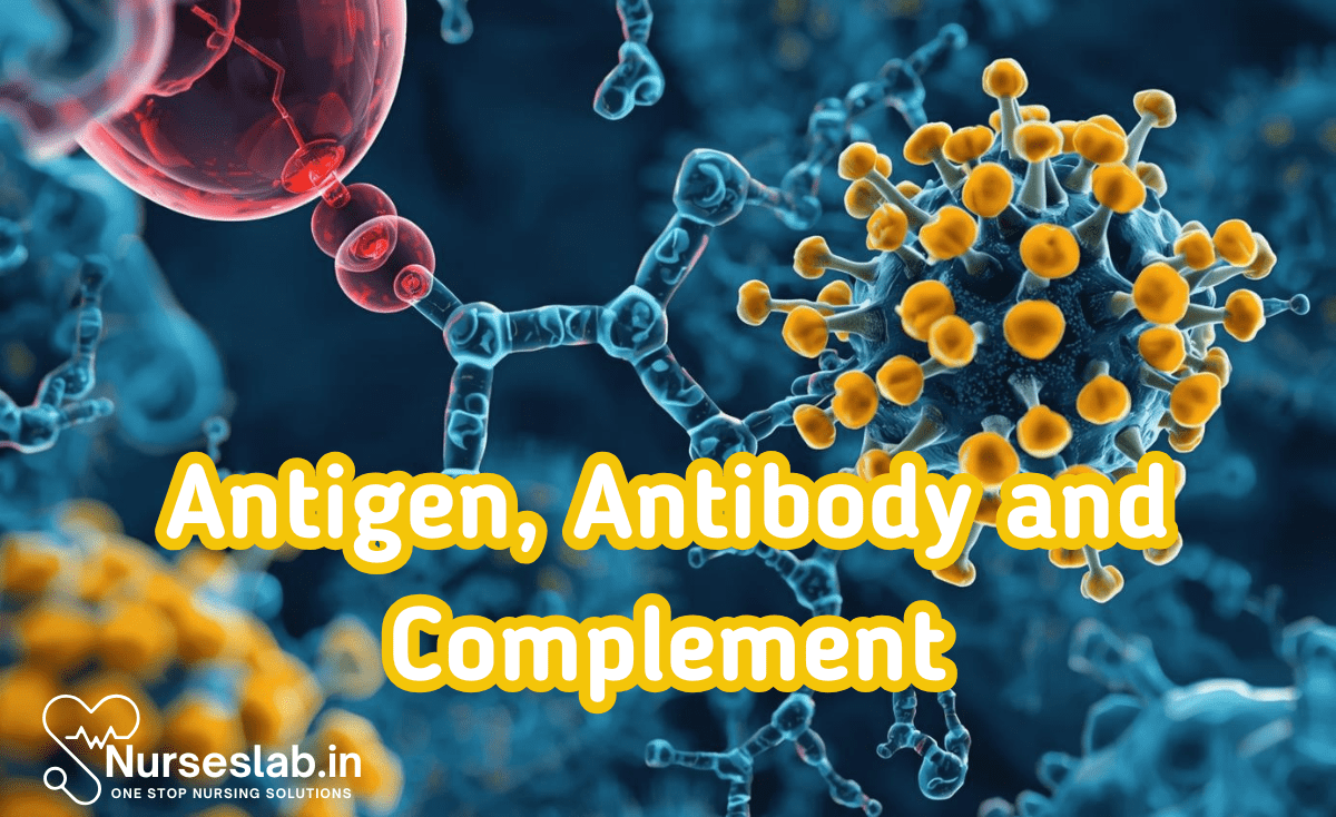 Antigen, Antibody and Complement: Compare and Contrast - Nurseslab