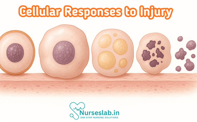 Cellular Response to Stress and Injury - Nurseslab