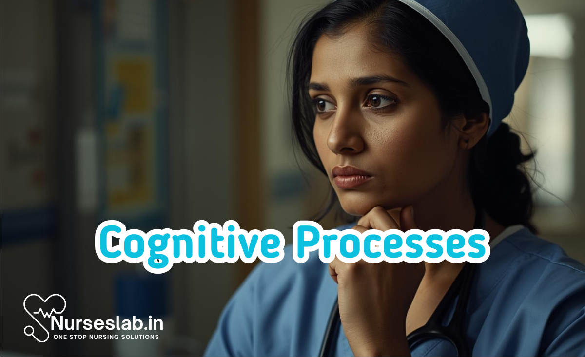 Application of Cognitive Processes in Nursing - Nurseslab