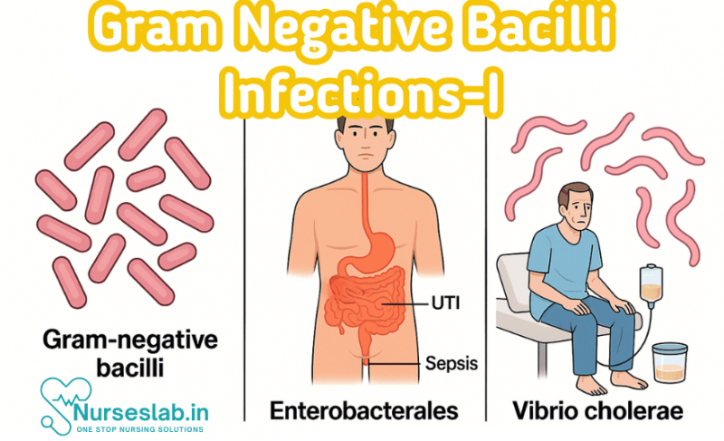 Gram Negative Bacilli Infections-I: Enterobacterales and Vibrio ...