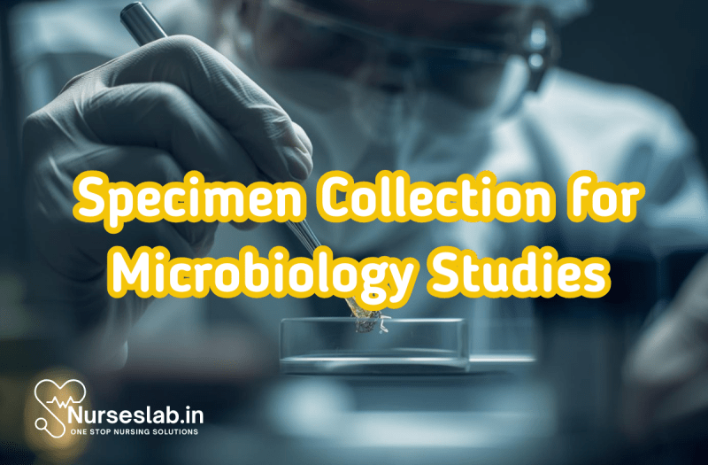 Specimen Collection for Microbiology Studies - Nurseslab