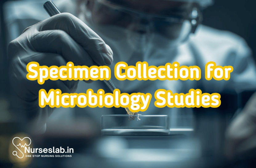 Specimen Collection for Microbiology Studies - Nurseslab
