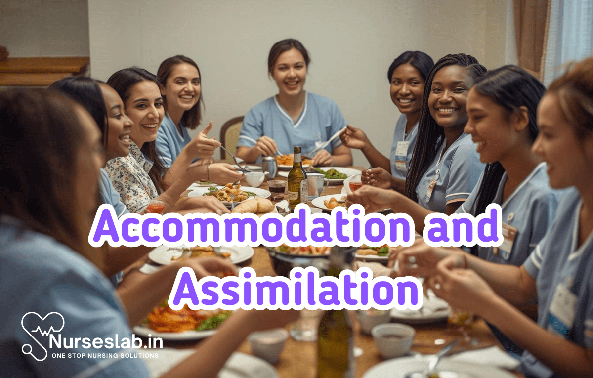 Accommodation and Assimilation - Nurseslab