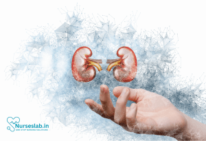 Acute Kidney Injury and Chronic Kidney Disease Key Difference - Nurseslab