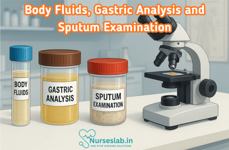 Body Fluids, Gastric Analysis and Sputum Examination - Nurseslab