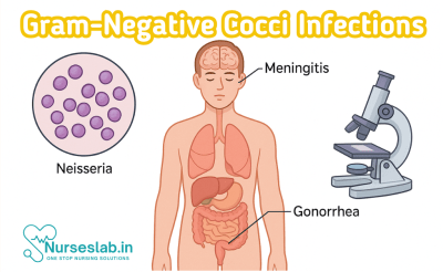 Gram-Negative Cocci Infections - Nurseslab