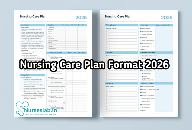 Nursing Care Plan 2026 (Step‑by‑Step with Latest Format) - Nurseslab
