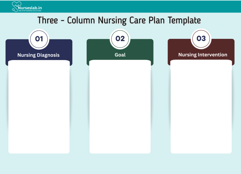Nursing Care Plan 2026 (Step‑by‑Step with Latest Format) - Nurseslab