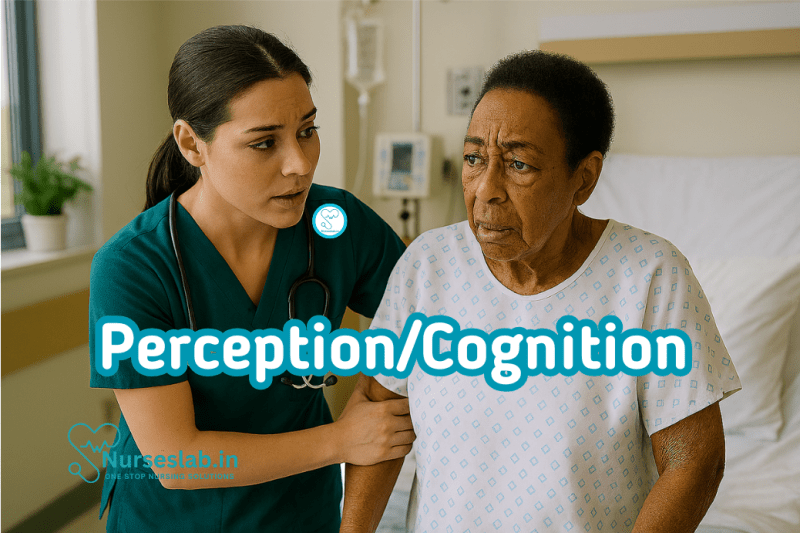 NANDA Nursing Diagnosis List 2026 Updated: A Comprehensive Guide for ...