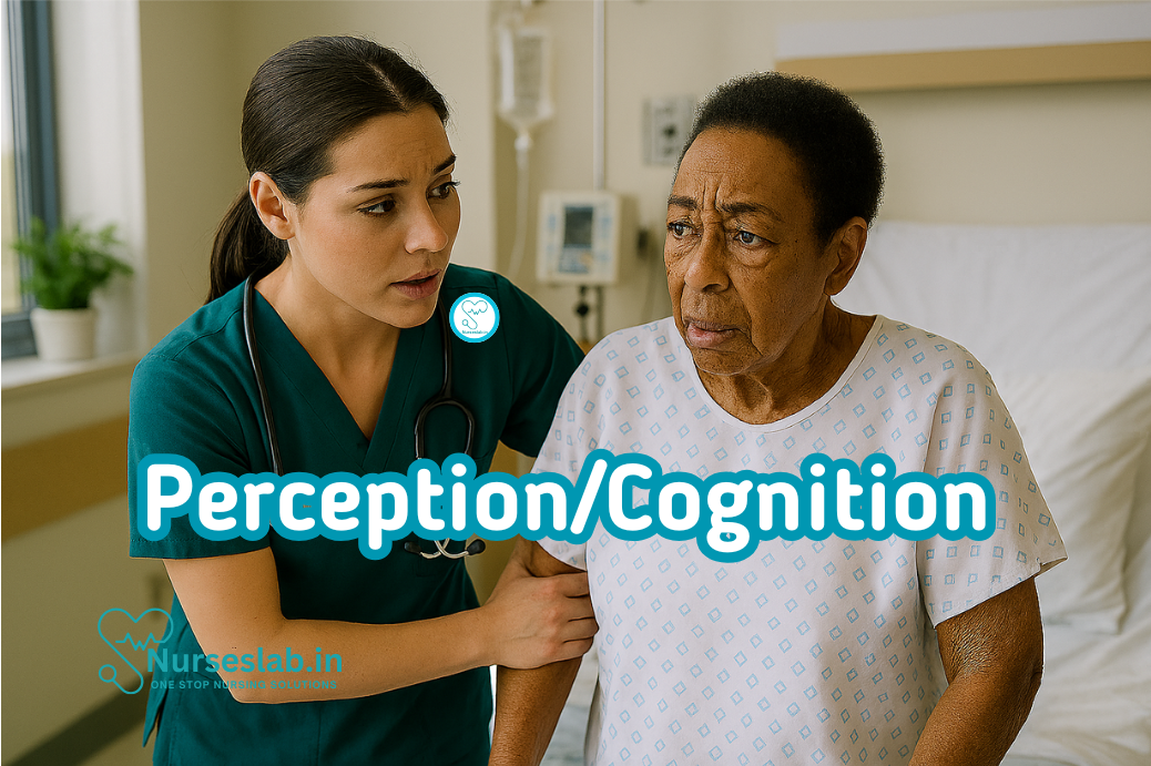 NANDA Nursing Diagnosis List 2026 Updated: A Comprehensive Guide for Nursing Students - Nurseslab