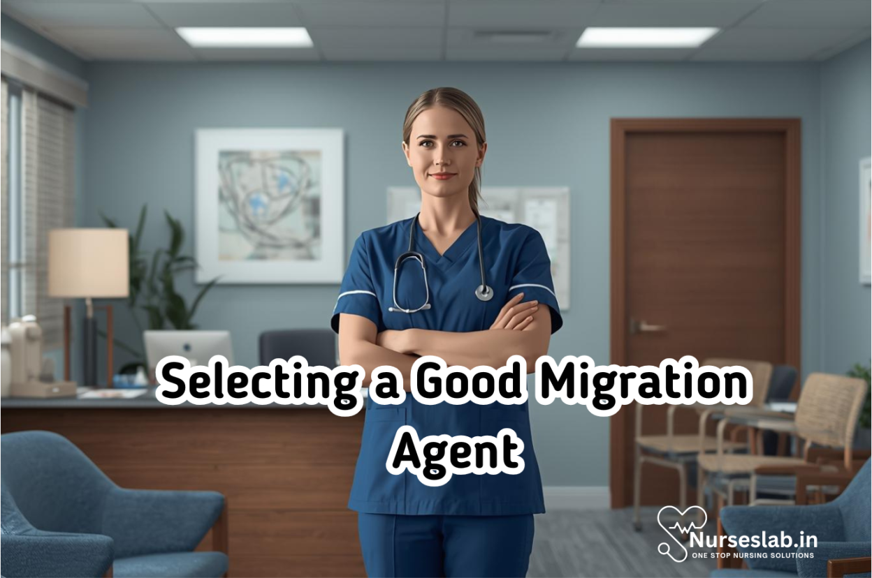 How to Select a Good Migration Agent: A Step-by-Step Guide - Nurseslab