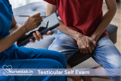 Testicular Self -Exam: A Comprehensive Diagnostic Procedure - Nurseslab